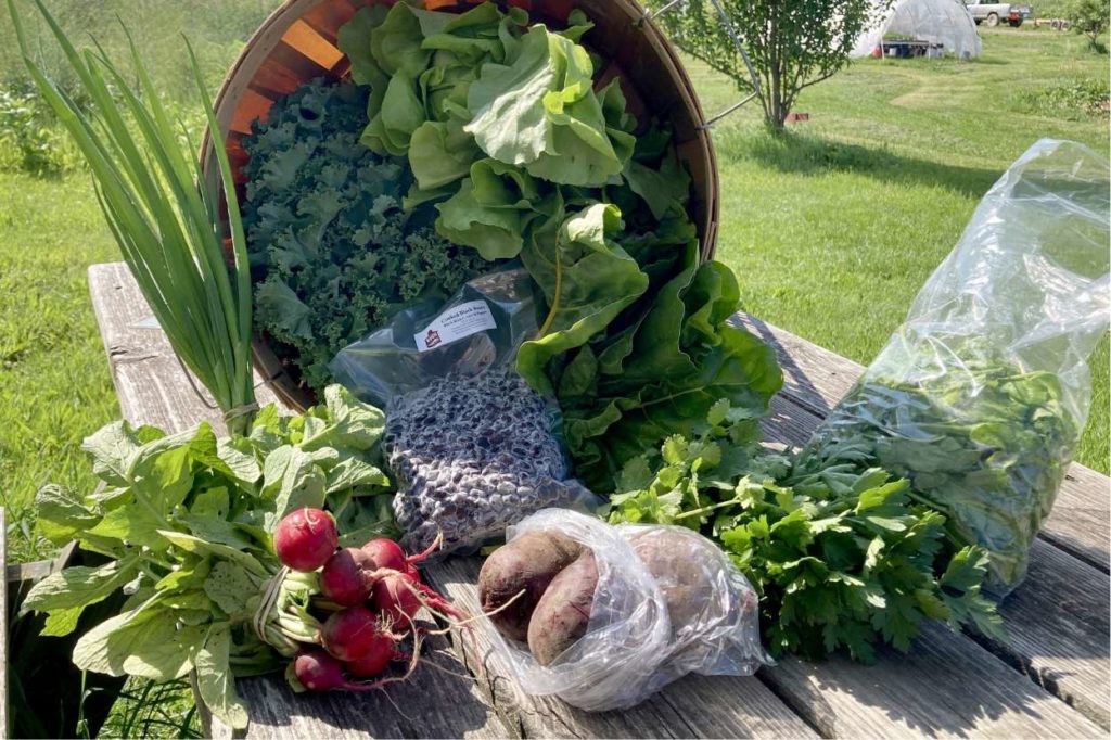 Visit & Shop - Vermont Youth Conservation Corps
