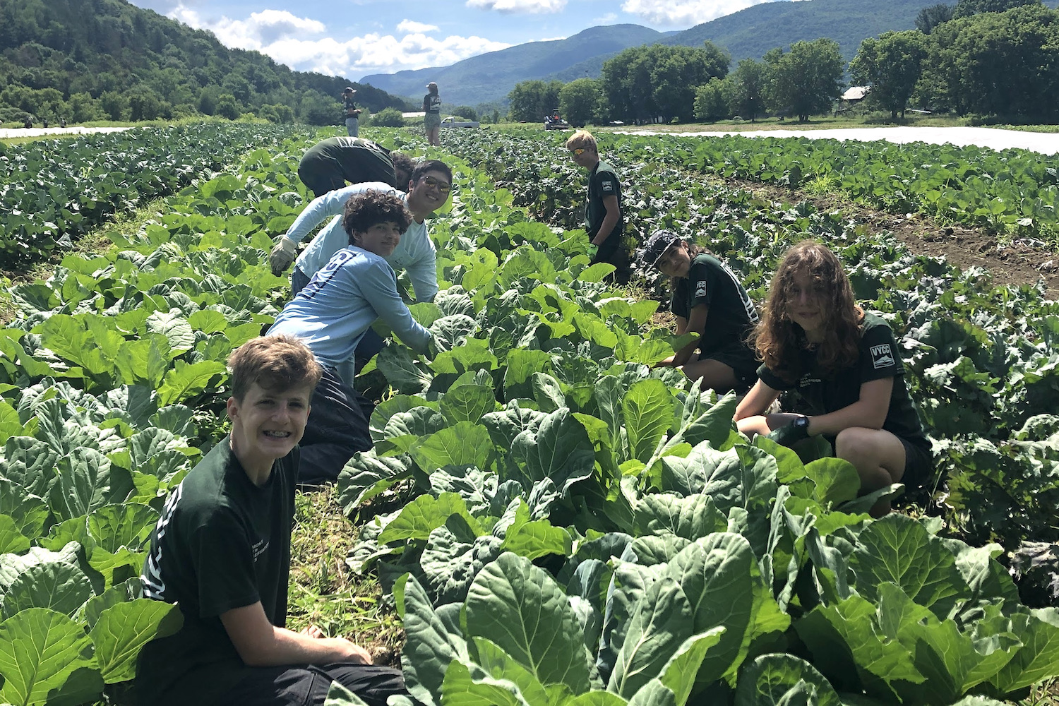 Volunteer - Vermont Youth Conservation Corps