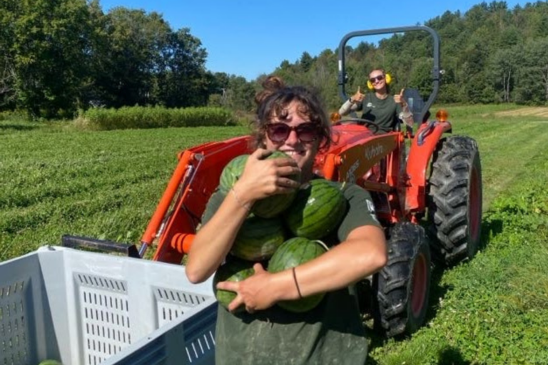 Positions - Vermont Youth Conservation Corps